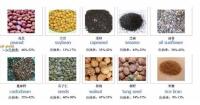 China Mini Copra Sunflowerseed Oil Press Machine Black Cumin Seed Oil Extraction Equipment Manual Pressing Sunflowerseed Seed for sale