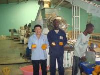 China Industrial Bar Soap Cutting Machine The Perfect Addition to Your Solid Soap Production Line for sale