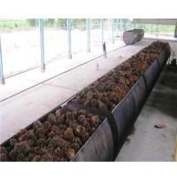 China Palm Oil Processing Mill Automatic Palm Kernel Expeller Machine for Bunch Threshing at 48m*12M*15M 30TPD for sale