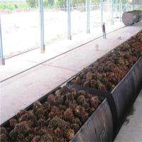 China 3t/h Capacity Continuous Sterilizer for Oil Palm Plant in Palm Oil Production Equipment for sale