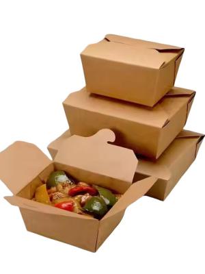 China Custom Biodegradable Kraft Paper Takeaway Boxes - Multiple Sizes & Closure Options for Food Packaging for sale