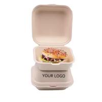 China Biodegradable Bagasse Burger Box Customized Fast Food Box Folders and Plastics Liner for sale