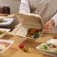 China Biodegradable Sugarcane Pulp Lunch Box 450ml 900ml Eco Friendly Takeaway Food Packaging for sale