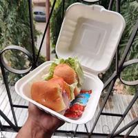 China Eco Friendly Biodegradable Corn Residue Clamshell Burger Box 6x6x3 Inch Food Grade for sale