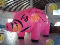 China Full Digital Printed Custom Shaped Balloons for sale