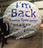 China Customized PVC Inflatable Advertising Helium Balloons For Event Presentation for sale