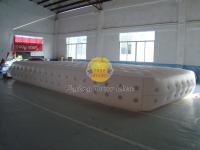 China Reusable Customized Shaped Balloons with Full digital printing for Entertainment events for sale