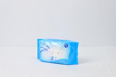 China Pre Moisted Rinse Free Adult Wet Wipes With Natural Formula for sale