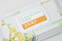 China All Ages Adult Wet Wipes PH Balanced Big Size Safe Spunlace For Sensitive Skin for sale