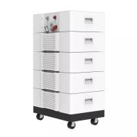 China 51.2v 200ah Home Battery Pack 100Ah High Voltage Hybrid Pack for sale