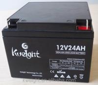 China 12v 24ah Deep Cycle Lead Acid Battery Vrla Sla Ups Agm Rechargeable Battery for sale