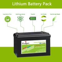 China LiFePO4 12.8v 100ah Lithium Ion Battery Pack For Golf Cart Solar Marine for sale