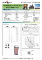 China Classical type Long Serve Time OPzS Tubular Battery 2V1000Ah Deep Cycle Lead Acid 2V 12V 24V 48V 1000AH Solar Battery for sale