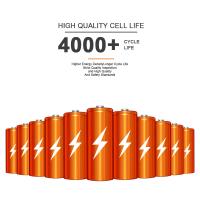 China Commercial 51.2V Lifepo4 Battery Pack 100Ah Solar Energy Storage System for sale