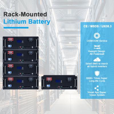 China BMS Smart Lithium Battery Module PV Solar Lifepo4 Lithium Backup Battery for sale