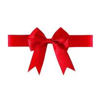 China Customized Bottle Decoration Ribbon Bow for Gift Packing MSD for sale