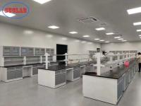 China Floor Mounted Steel Structure Chemistry Lab Furniture With Wall Storage Cabinet for sale