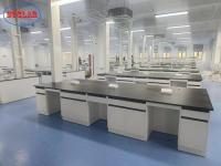 China Epoxy Resin Worktop Chemistry Lab Bench With Black Colour Embedded Handle for sale