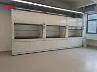 China New Style Steel Laboratory Fume Cupboard With Ducted Ventilation System for sale