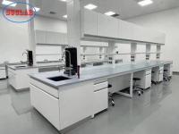 China High Standard Ceramic Worktop Laboratory Casework Furniture For University Usage for sale