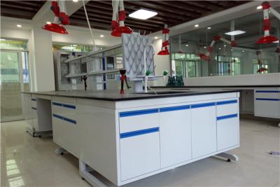 China Custom Made Island Bench Lab Furnitures With Sink Unit For Chemical Lab Furniture for sale