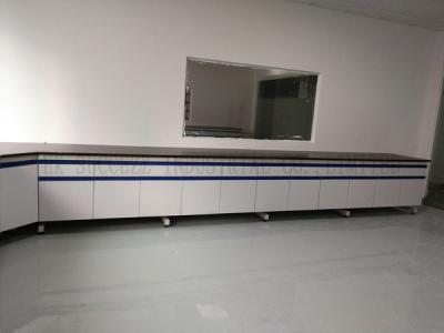 China Epoxy Resin Lab Desk Furniture , Electronics Lab Furniture With Storage Space for sale