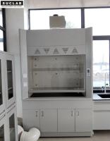 China Epoxy Coated Steel Fume Hood Laboratory Equipment Environmental Friendly for sale