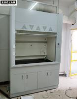 China Full Steel Hood In Chemistry Lab 6mm Tempered Glass Lift Freely Window for sale