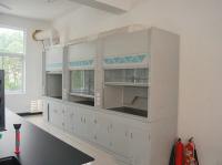 China CE Certified Chemical Exhaust Hood , Science Lab Fume Hood High Safety for sale