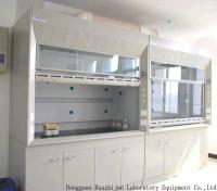 China Custom Laboratory Steel Fume Hood 0.5m/S Air Volume With Storage Cabinet for sale