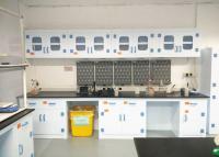 China Epoxy Resin Countertop Science Lab Tables , PP Lab Furniture With PP Drawer for sale