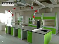 China Green Colour Base Cabinet Laboratory Central Workstation With Reagent Shelves,PP Sink for sale