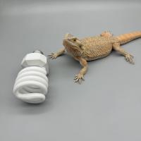 China 10.0 UVB CFL UVB Bulbs For Reptiles 26W UVA UVB Reptile Light Bulb for sale