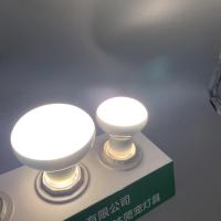 China 75W UVA Spot Lamp R63 R80  For Reptile And Amphibian Bearded Dragon Lizard Tortoise Spider Snake Chameleon Reptile Heat Lamp for sale