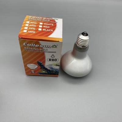 China Combo Pack For Reptile UVA Infrared 75W Reptile Heat Lamp Day Night Basking Spot Light E26 E27 Base Lamp for sale