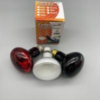 China 75W UVA Spot Lamp R63 R80  For Reptile And Amphibian Bearded Dragon Lizard Tortoise Spider Snake Chameleon Reptile Heat Lamp for sale