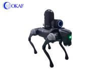 China Intelligence HD AI Camera Security Quadruped Robot Dog for sale