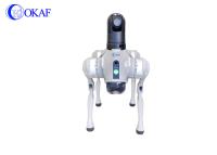 China OKAF Airport subway high speed rail biomimentic quadruped robot dog AI face recognition patrol security robot dog for sale