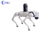 China OKAF Airport subway high speed rail biomimentic quadruped robot dog AI face recognition patrol security robot dog for sale