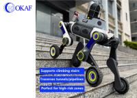 China Wheel- legged Security Robot Dog Autonomos Patrol Quadruped Robot for sale