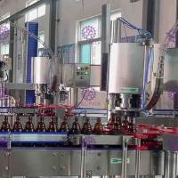 China DG-12 2000BPH Carbonated Beverage Filling Machine with 12 Heads and 1.1kW Power for Glass Bottles for sale