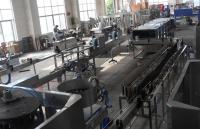 China DP Series Bottle Inverse Sterilizer Machine 100-250 Bottles/Minute with 96° or 110° Overturn Angle for sale