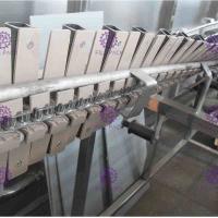 China Glass Bottle Reverse Automatic Sterilizer For Hot Filling Line for sale