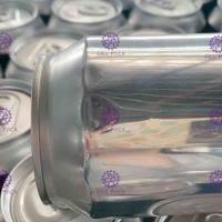 China Electric 2 in 1 Can Filling Line - 5000 Cans/Hour Capacity with 18 Filling Heads for Carbonated Beverages for sale