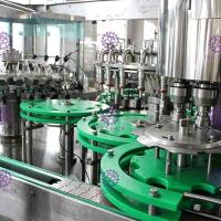 China Automatic Orange Pulp Juice Hot Filling Machine for PET Bottles - 6000-8000 BPH Capacity with PLC Control for sale