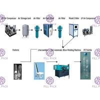 China 2L 2000BPH Automatic PET Bottle Blow Molding Machine Double Cavity Carbonated Drink for sale