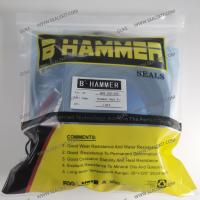 China Hydraulic Breaker Seal Kit MTB 250-255 PU PTFE NBR 92 Shore A for sale