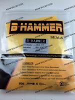 China Hydraulic Breaker Seal Kit for SOOSAN SB10 PU NBR PTFE 70-100 Shore Hardness for sale