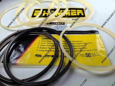 China TOKU TNB 310LU1 Hydraulic Breaker Seal Kit 160mm Tool Diameter Repair Kit for sale