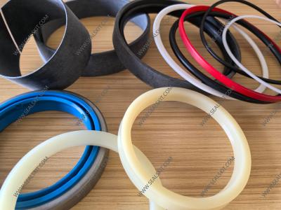 China Hydraulic Cylinder Repair Seal Kit 244-2070 with 92 Hardness and -40℃ to 110℃ Temperature Range for sale
